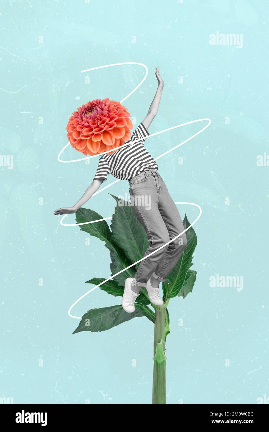 Creative photo 3d collage artwork poster picture of weird person ...