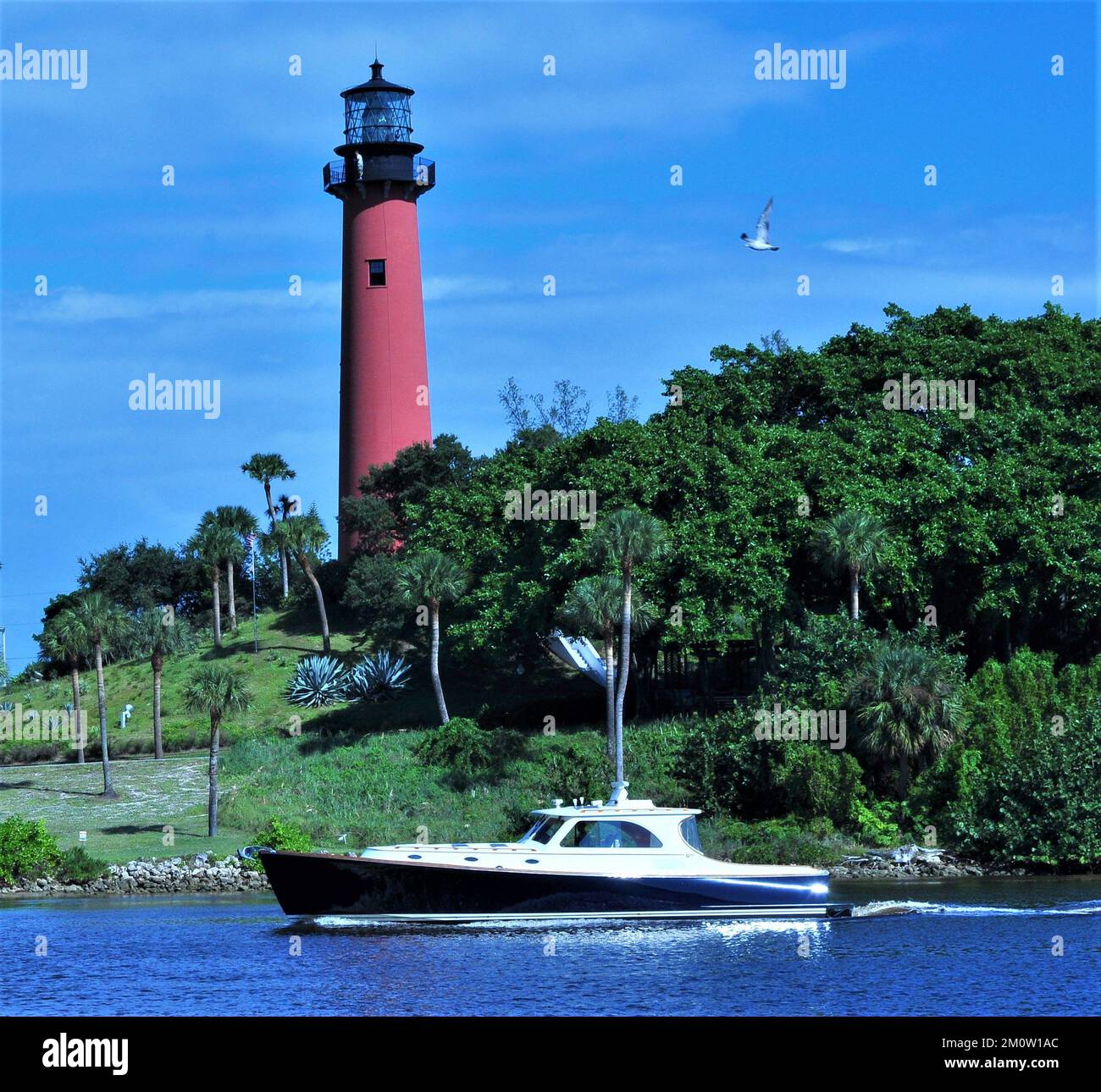 Valley of Fire Elephant Rock Overton, Nevada Stock Photo - Alamy