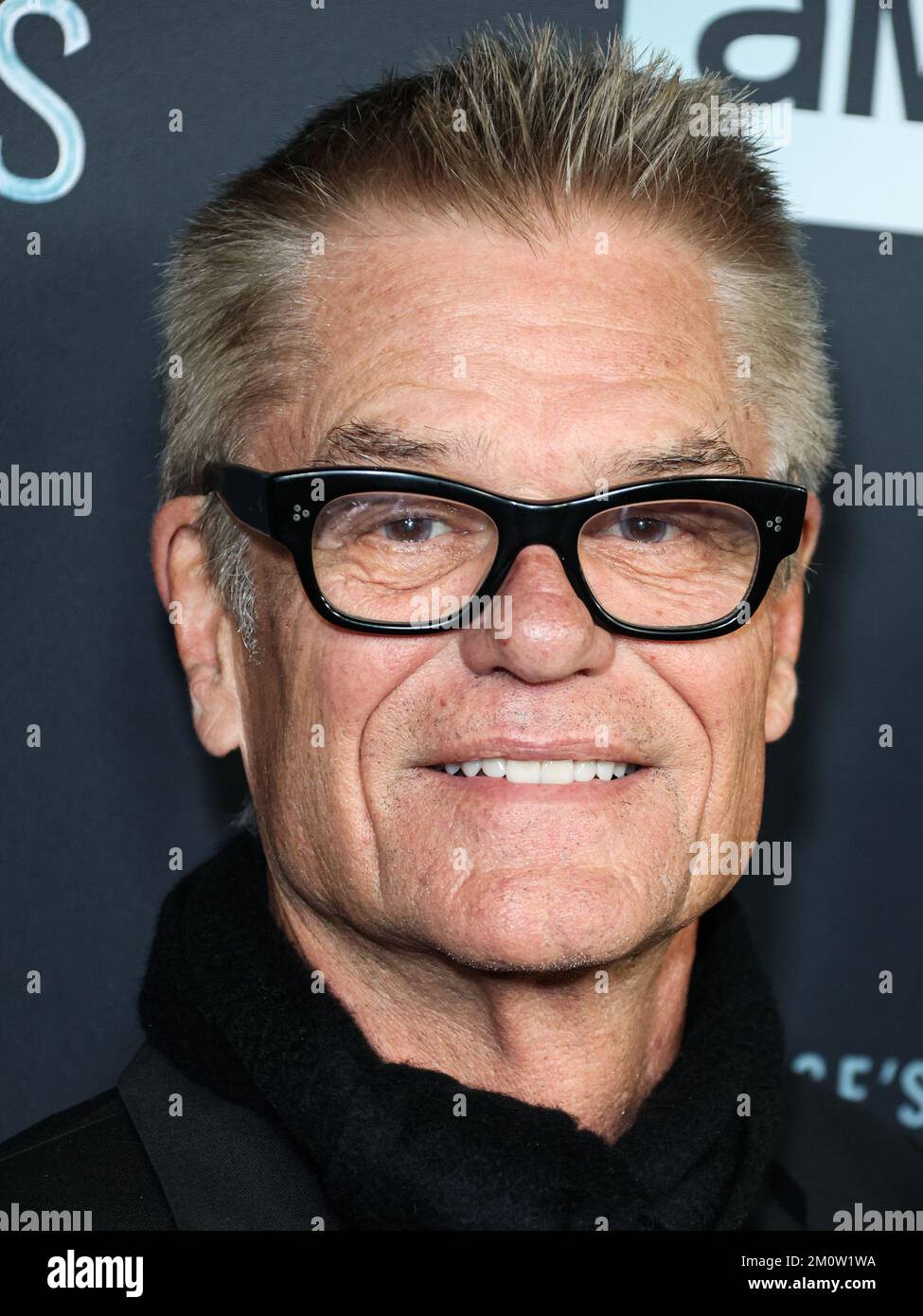 HOLLYWOOD, LOS ANGELES, CALIFORNIA, USA - DECEMBER 07: American actor ...