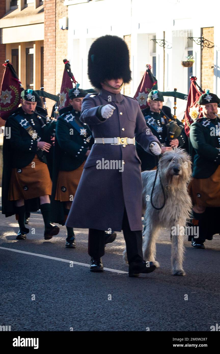 Regimental mascot of the irish guards hi-res stock photography and ...