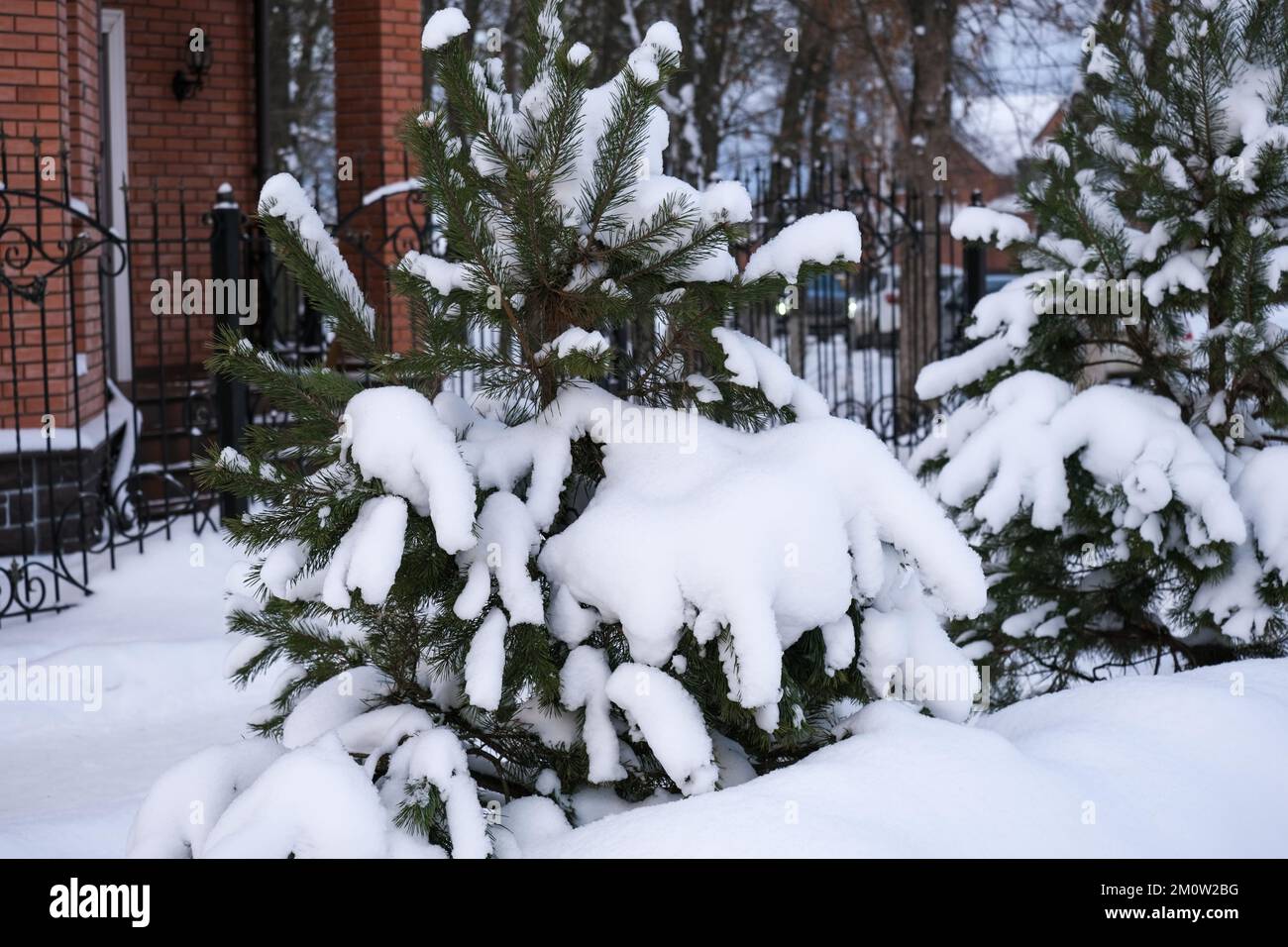 Top heavy christmas tree hi-res stock photography and images - Alamy