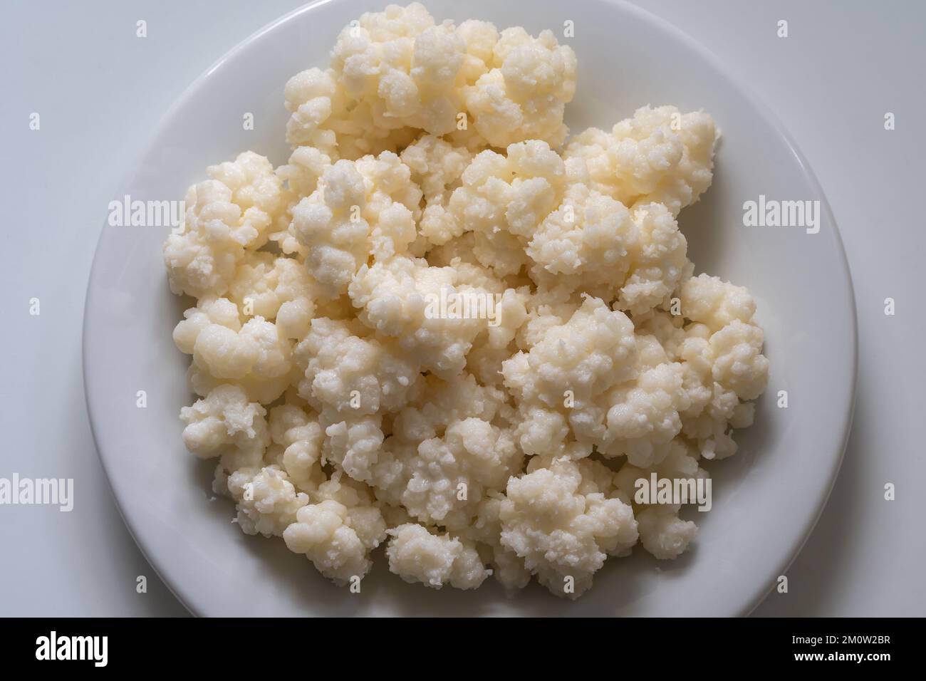 Organic milk kefir grains isolated on a plate Stock Photo - Alamy