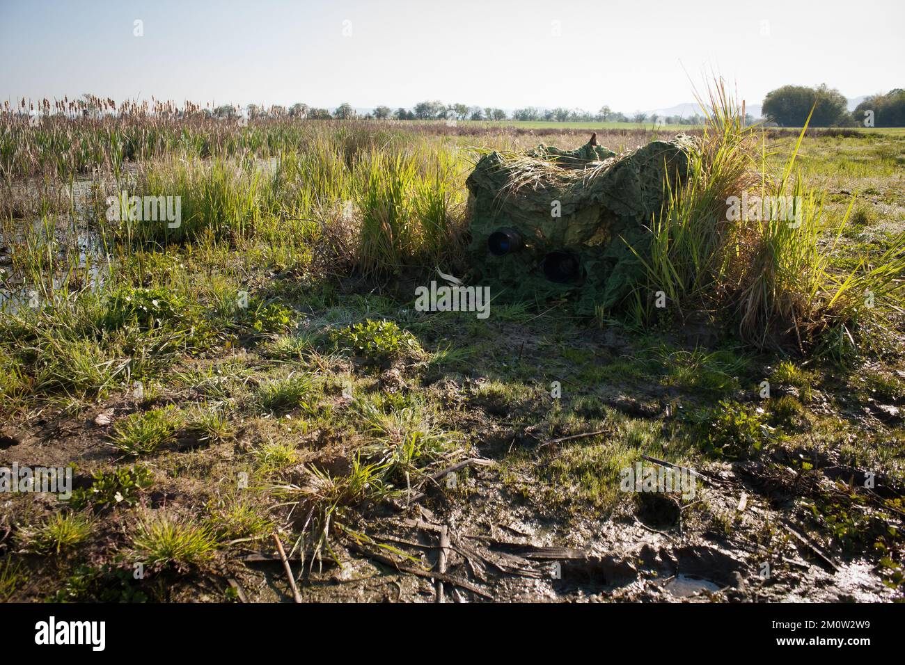 Wildlife photographer hiding in a hide from camouflage netting in ...