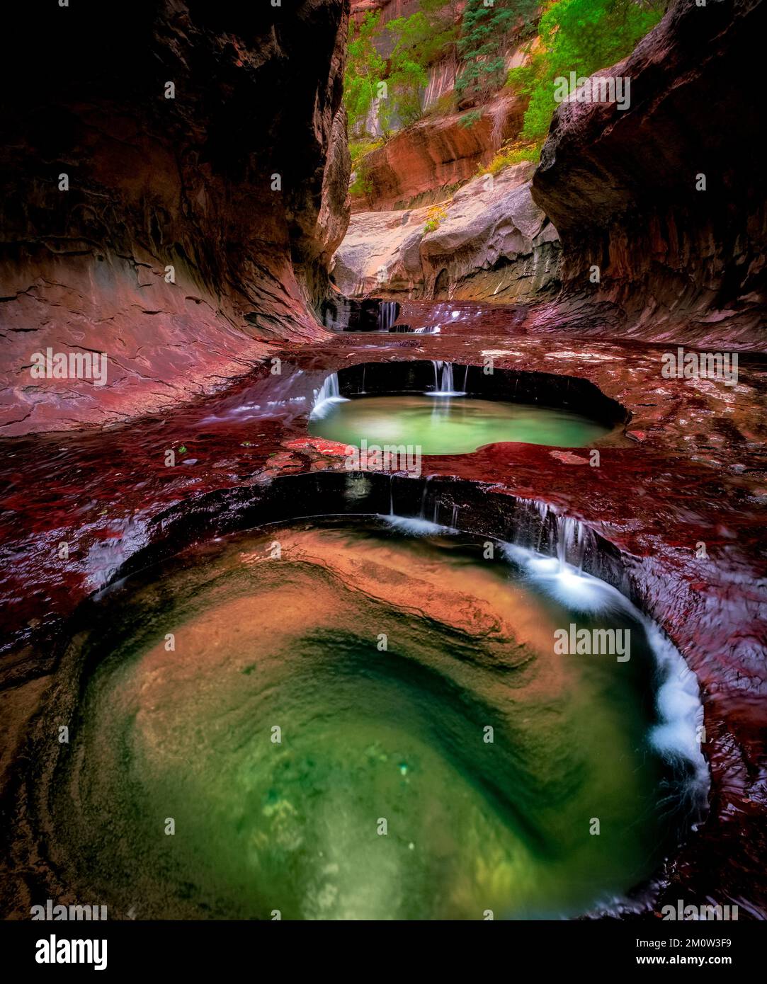 The Subway Hiking Trail, Zion National Park, Utah Stock Photo - Alamy