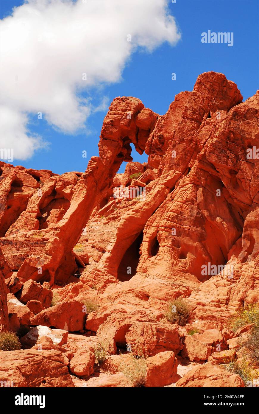 Valley of Fire Elephant Rock Overton, Nevada Stock Photo - Alamy