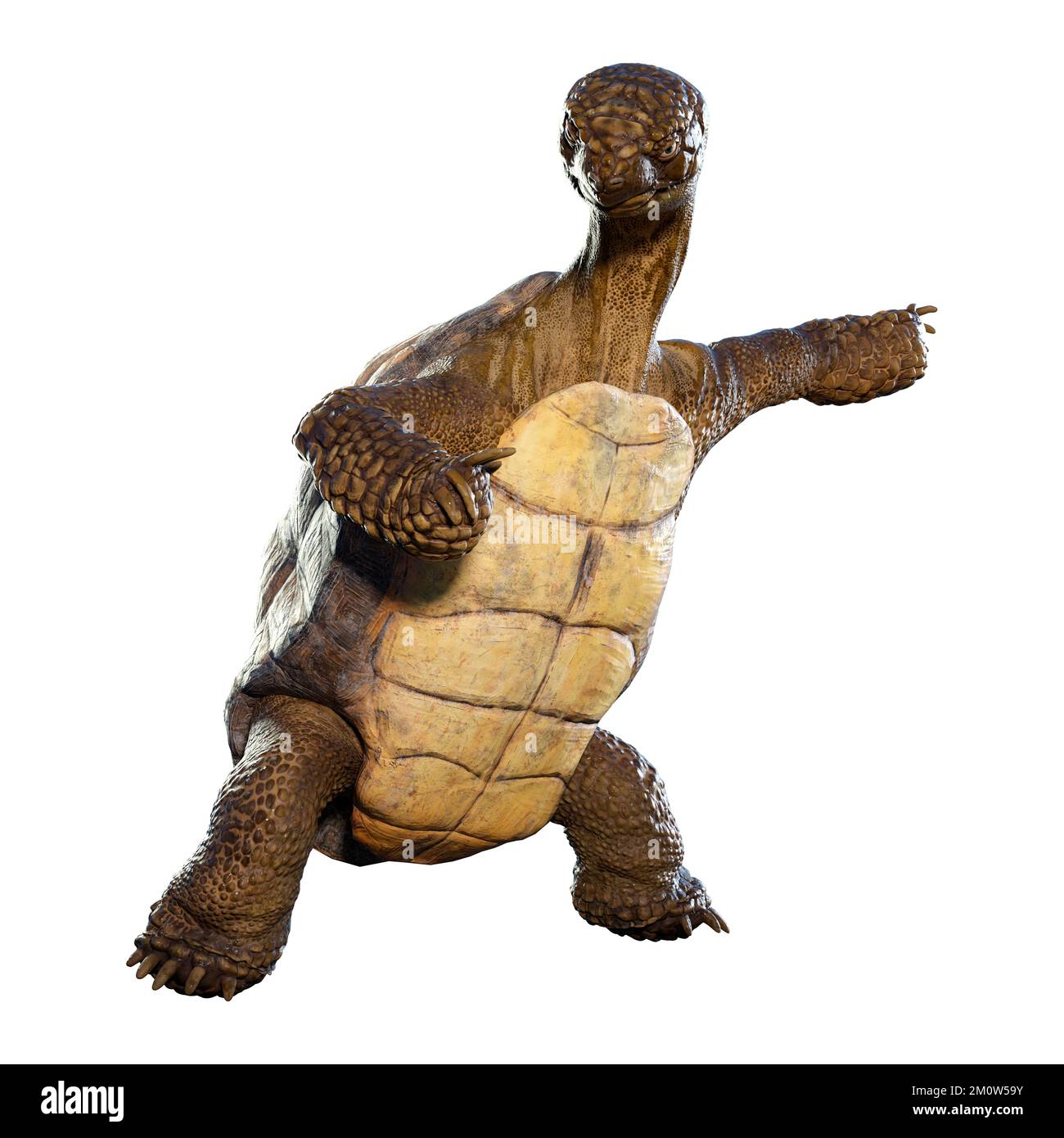 3D rendering of a sea turtle isolated on white background Stock Photo ...