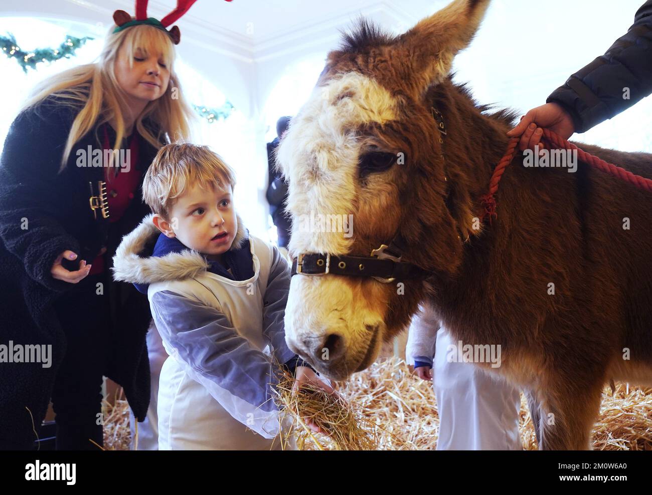 Jack Anderson (3), from the YMCA crèche on Aungier St, with Daisy the ...
