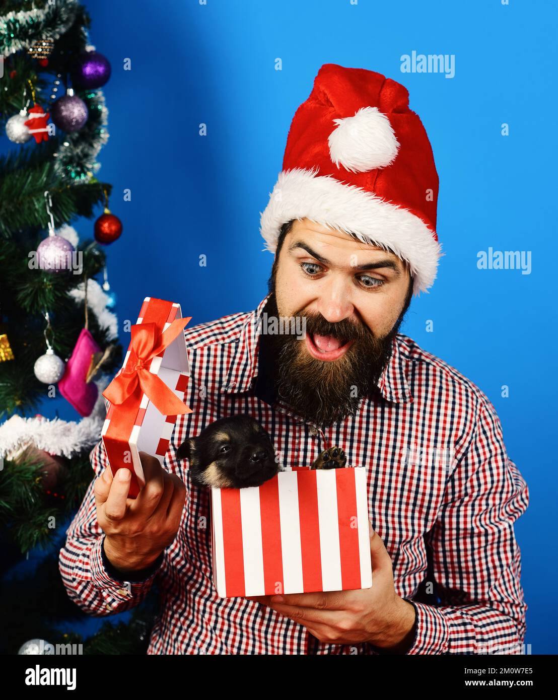 Man in xmas hat plays with puppy. Xmas holiday concept Stock Photo - Alamy