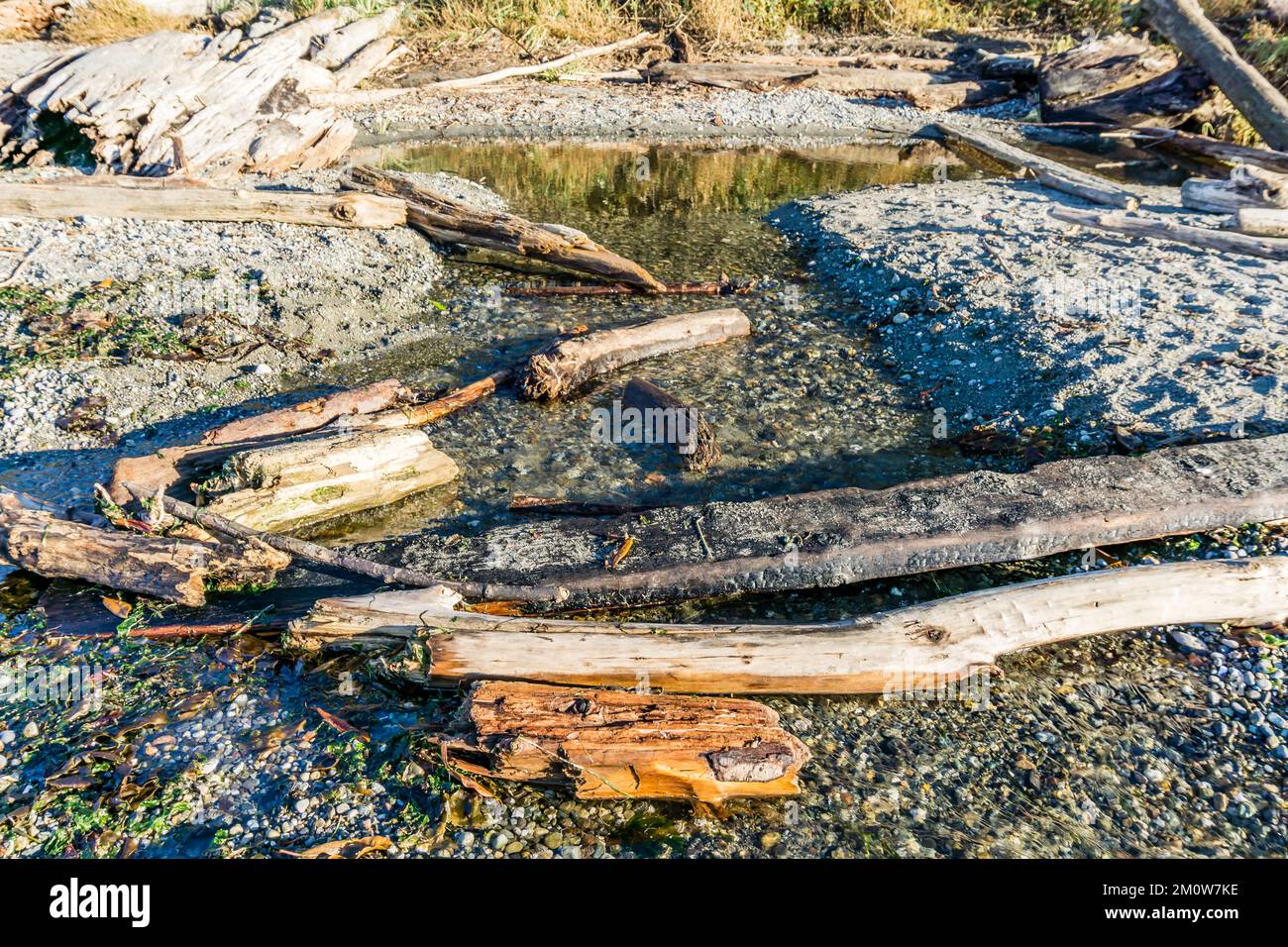 Water , sand and driftwood at Seahurst Park in Burien, Washington Stock ...