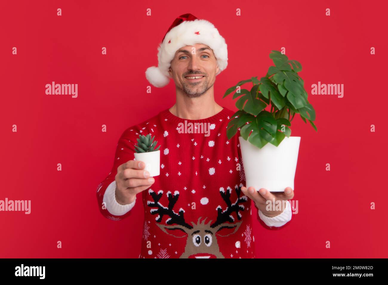 Portrait of christmas santa man on red studio background. Santa hold ...