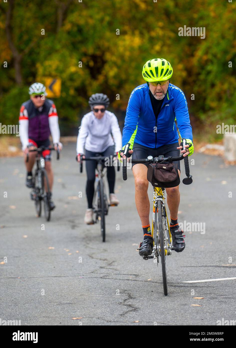 Group of cyclists riding road bikes Stock Photo - Alamy