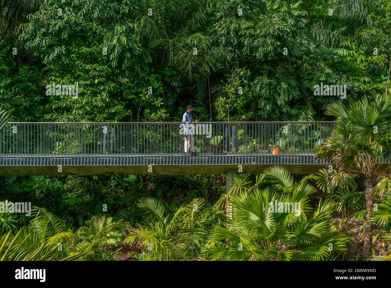The Gardener checks his phone while cleaning the floor at the Canopy ...