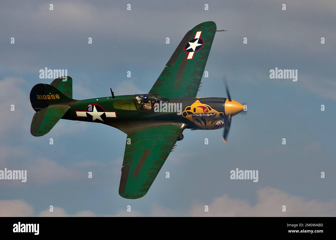 Curtiss p40 airplane plane hi-res stock photography and images - Alamy