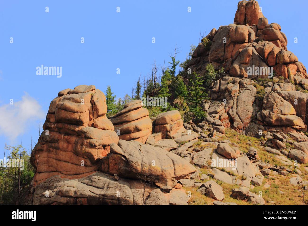 Terelj national park gorkhi hi-res stock photography and images - Alamy