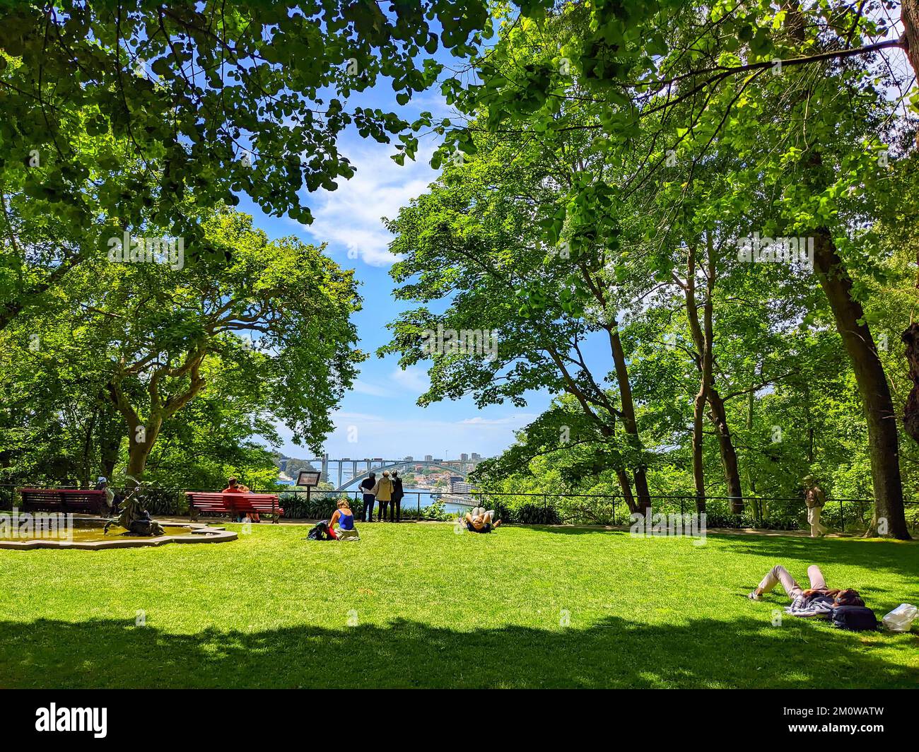 People relaxing on park green lush grass lawn in trees shadow ...