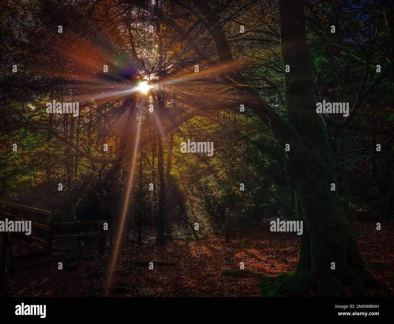 The sun shining through. Beddgelert, Wales: THESE STUNNING images mark ...