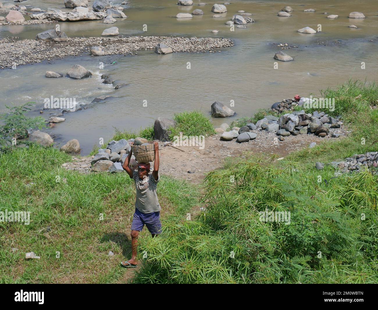 Hard worker another word hi-res stock photography and images - Alamy