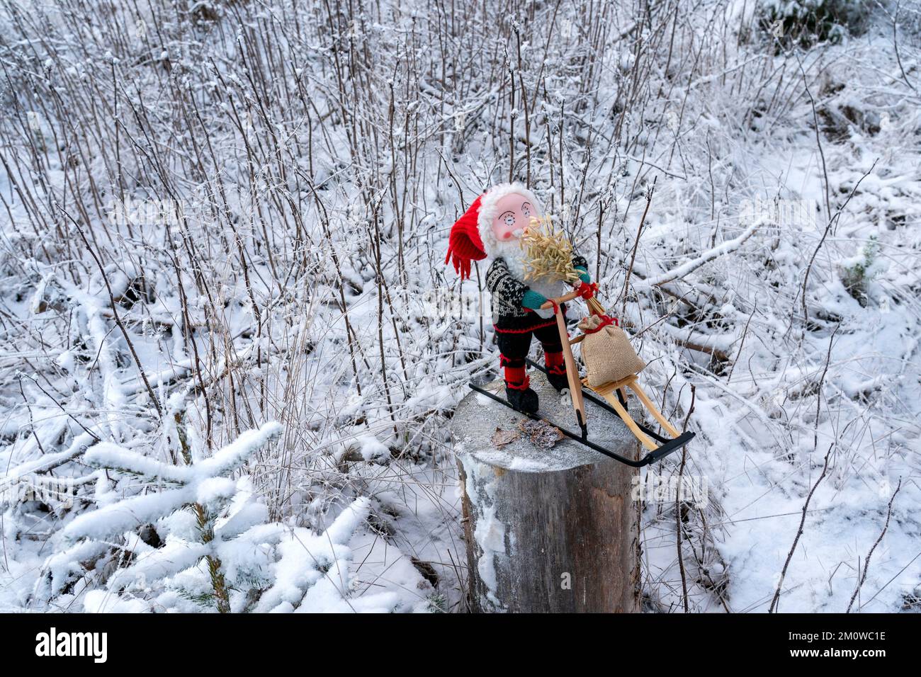 Ytre Enebakk 20221208.Santa with knitted clothing on kicksled. Photo ...