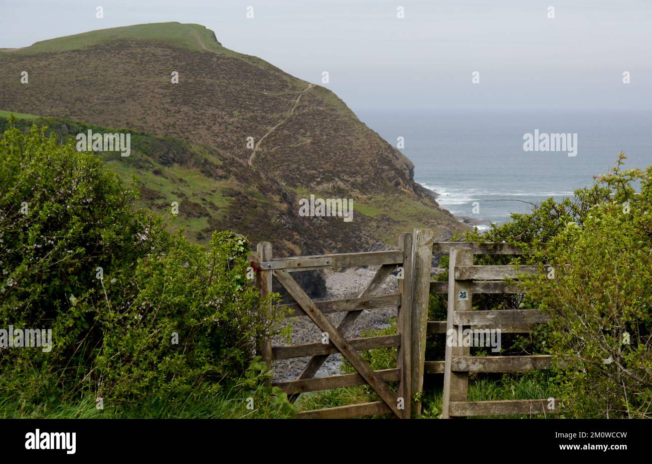 The New Zig Zag Path by the Old Eroded Path on the Cambeak Headland ...