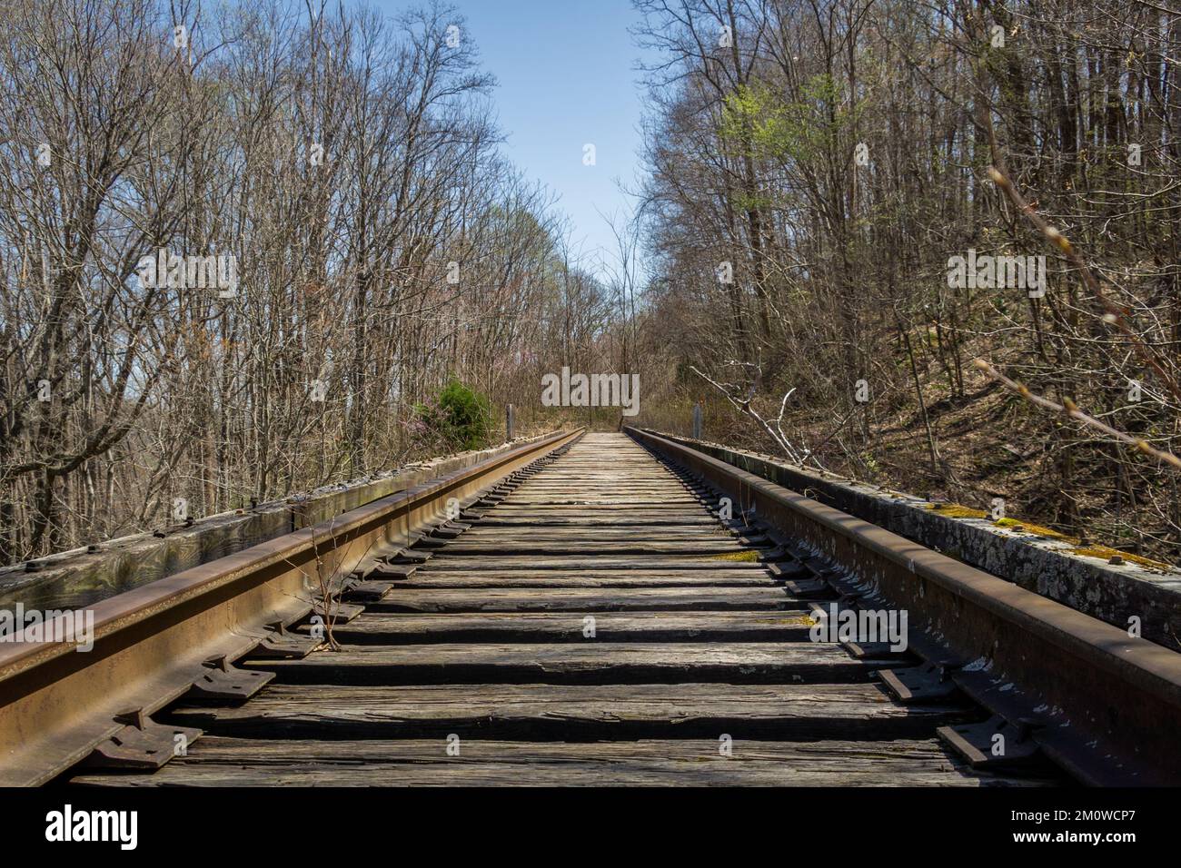 Abandoned train tracks in the middle of a forest, view looking down ...