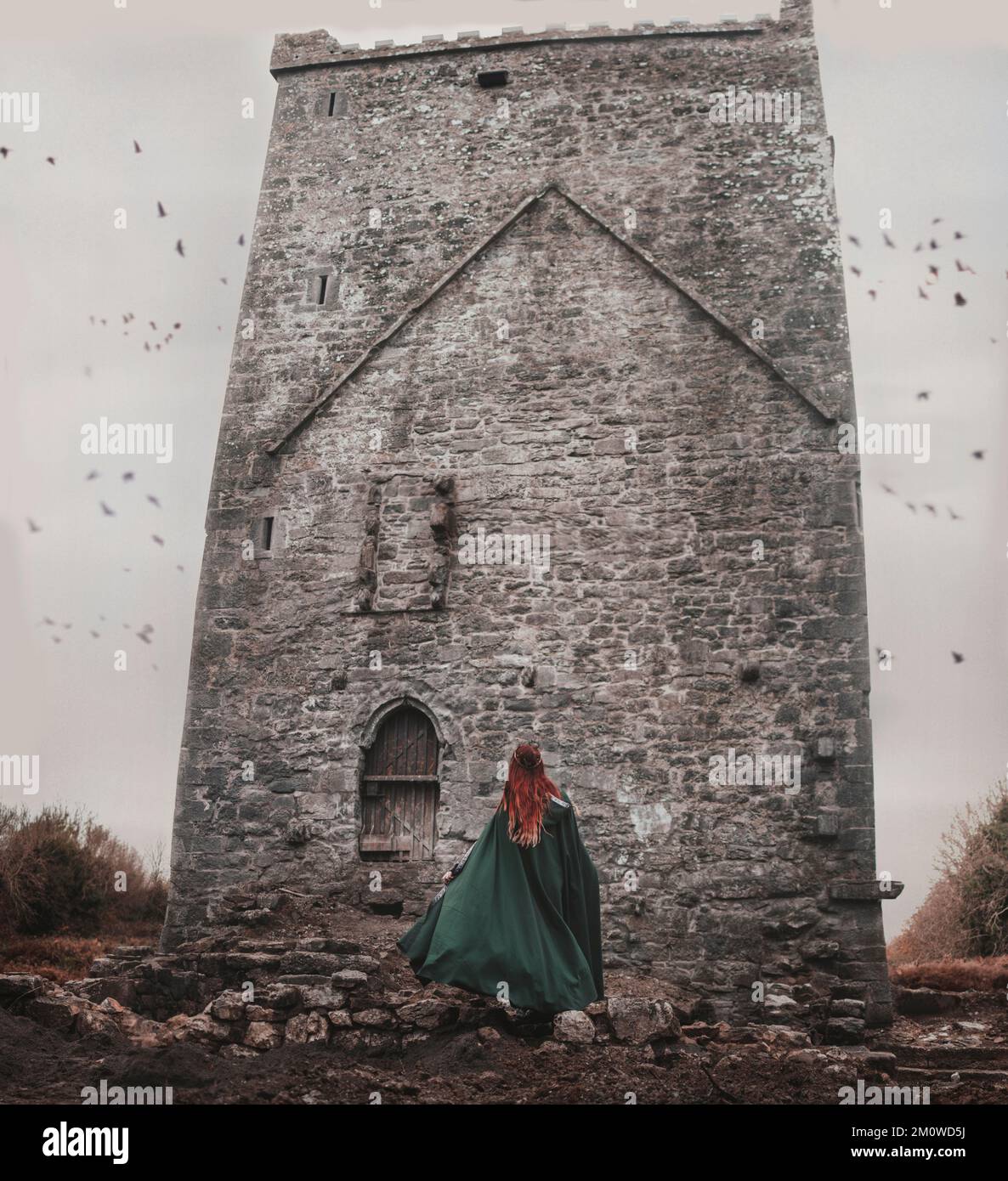 Merlin castle ireland hi-res stock photography and images - Alamy