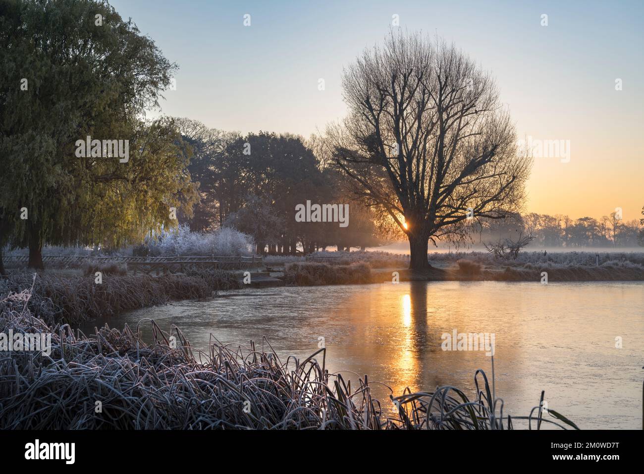 Below zero day hi-res stock photography and images - Alamy