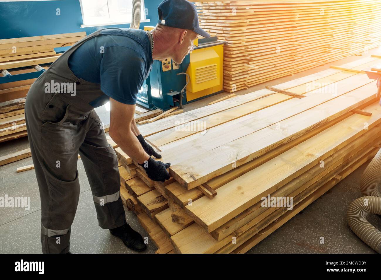 Work at sawmill on summer day. Timber harvesting for construction ...