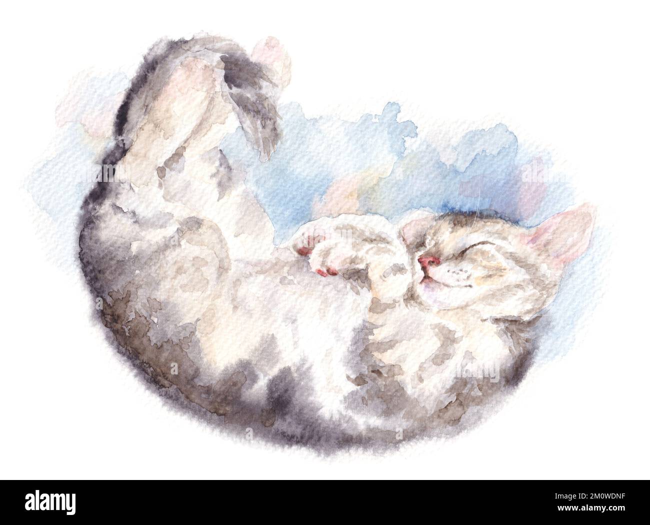 Sleeping Cat Drawing Realistic