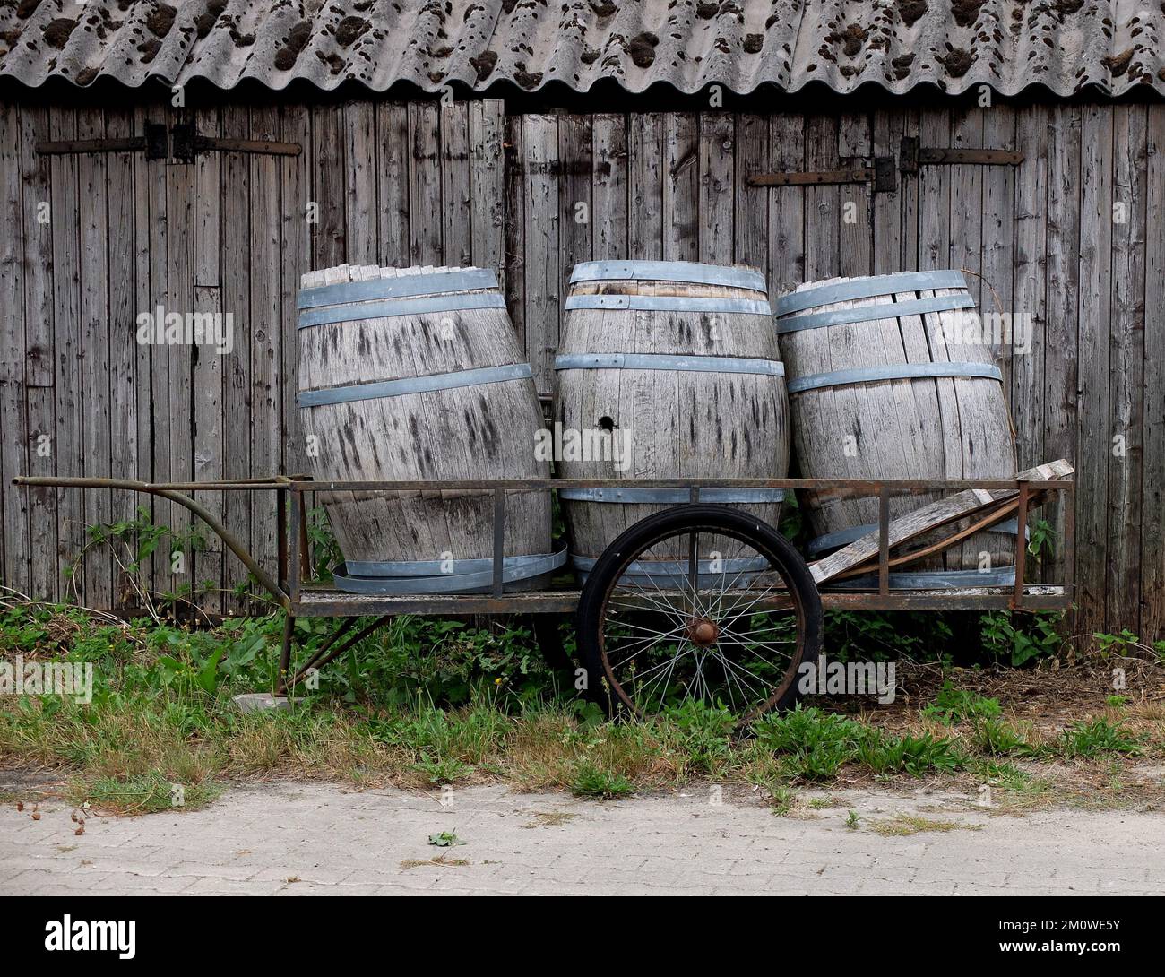 Three old barrels on a wooden cart against the wooden wall of a shed ...