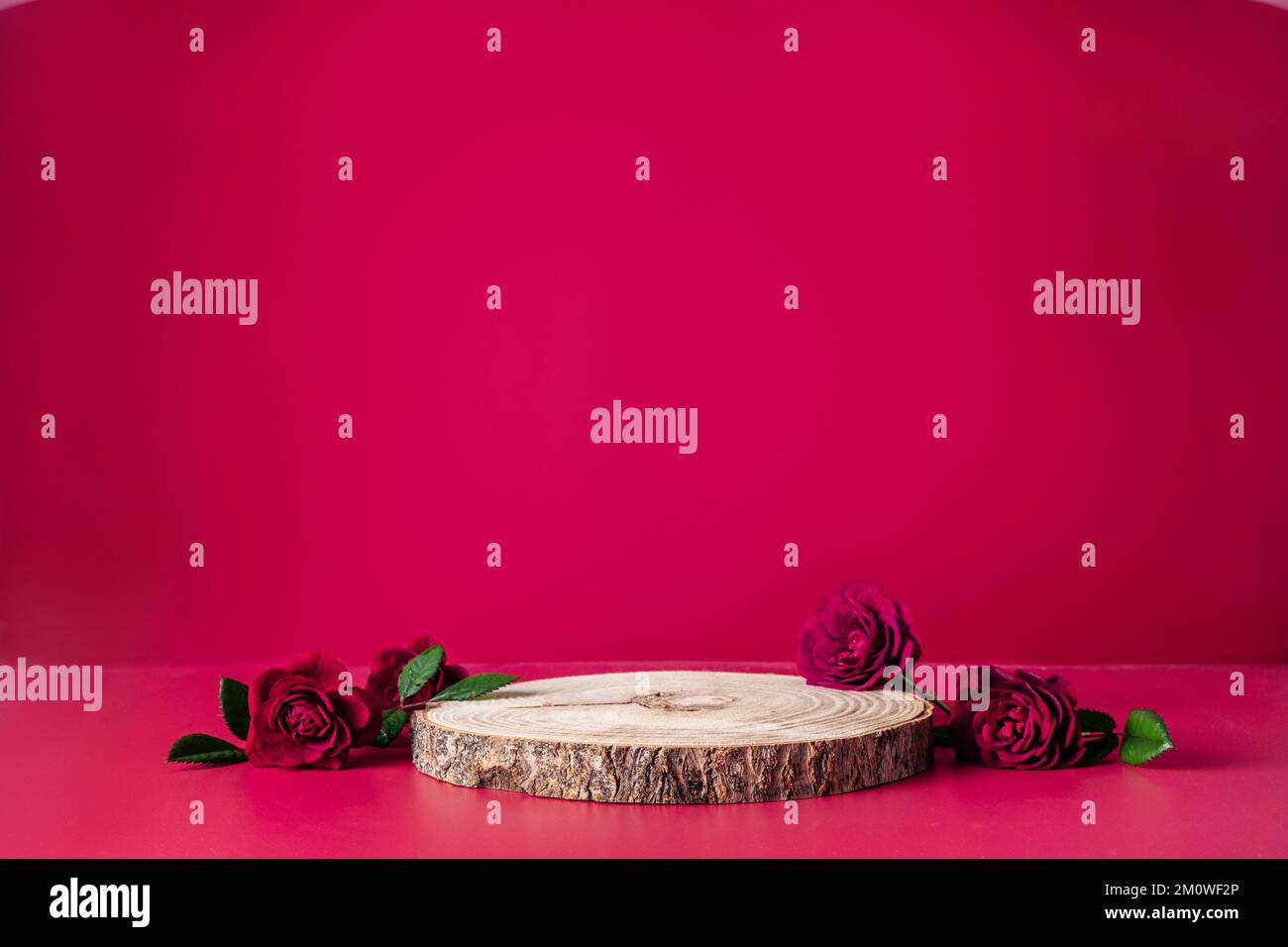 Wood podium saw cut of tree on vivid magenta background Stock Photo - Alamy