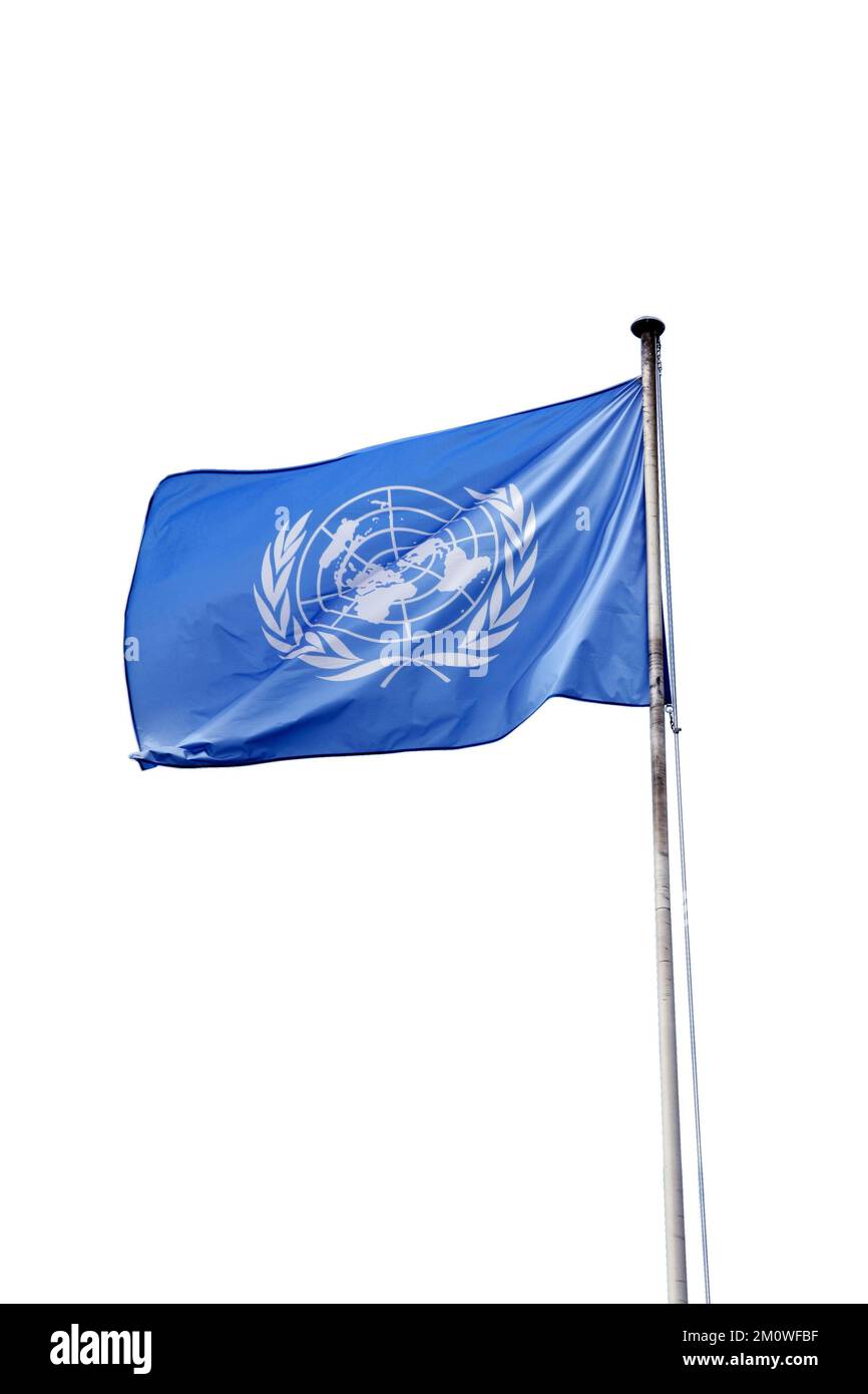 Flag of United Nations, isolated on white background Stock Photo - Alamy