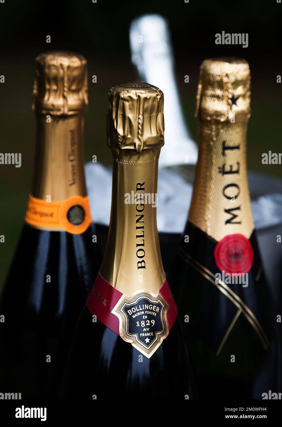 Beverage photography - Cocktail - Champagne - Gin - Pimms - Whisky ...