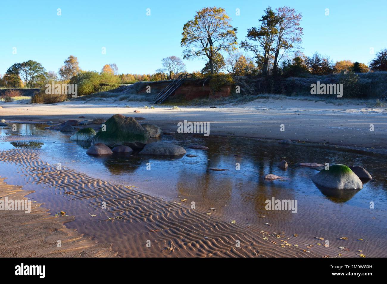 The stones in water at beach with trees in background Stock Photo - Alamy