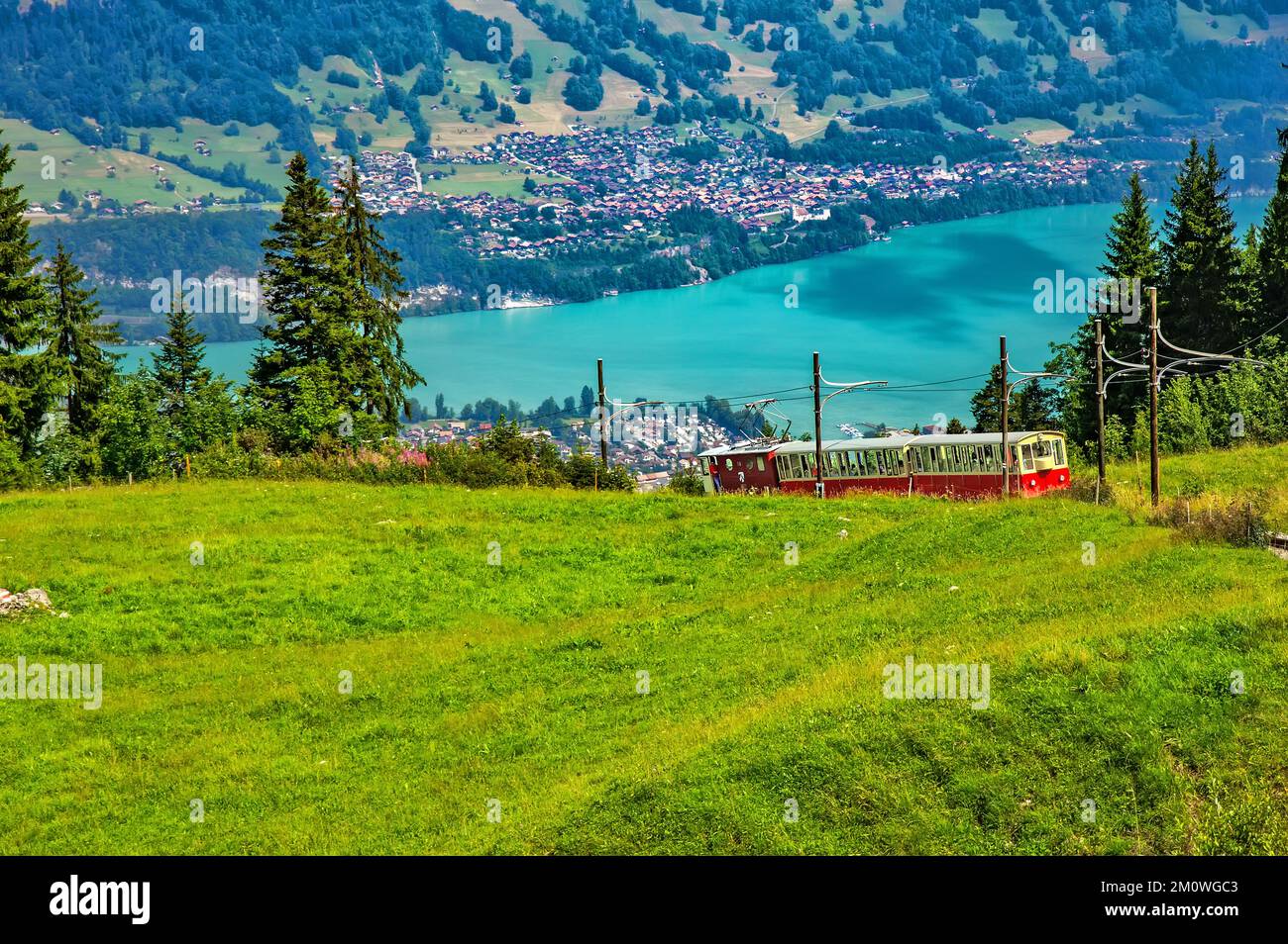 The Schynige Platte Railway is a mountain railway in the Bernese ...