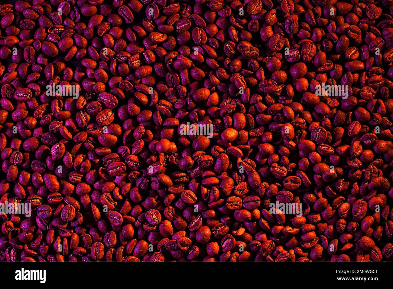 Freshly Fried Coffee Grains Background with neon lights, High Quality ...