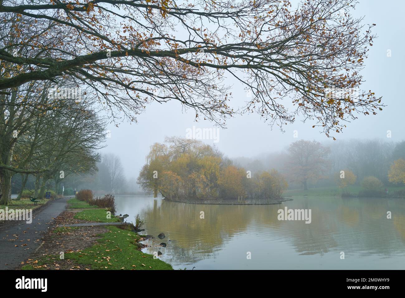 Reflection of trees in the boating lake at Corby, England, on a calm ...