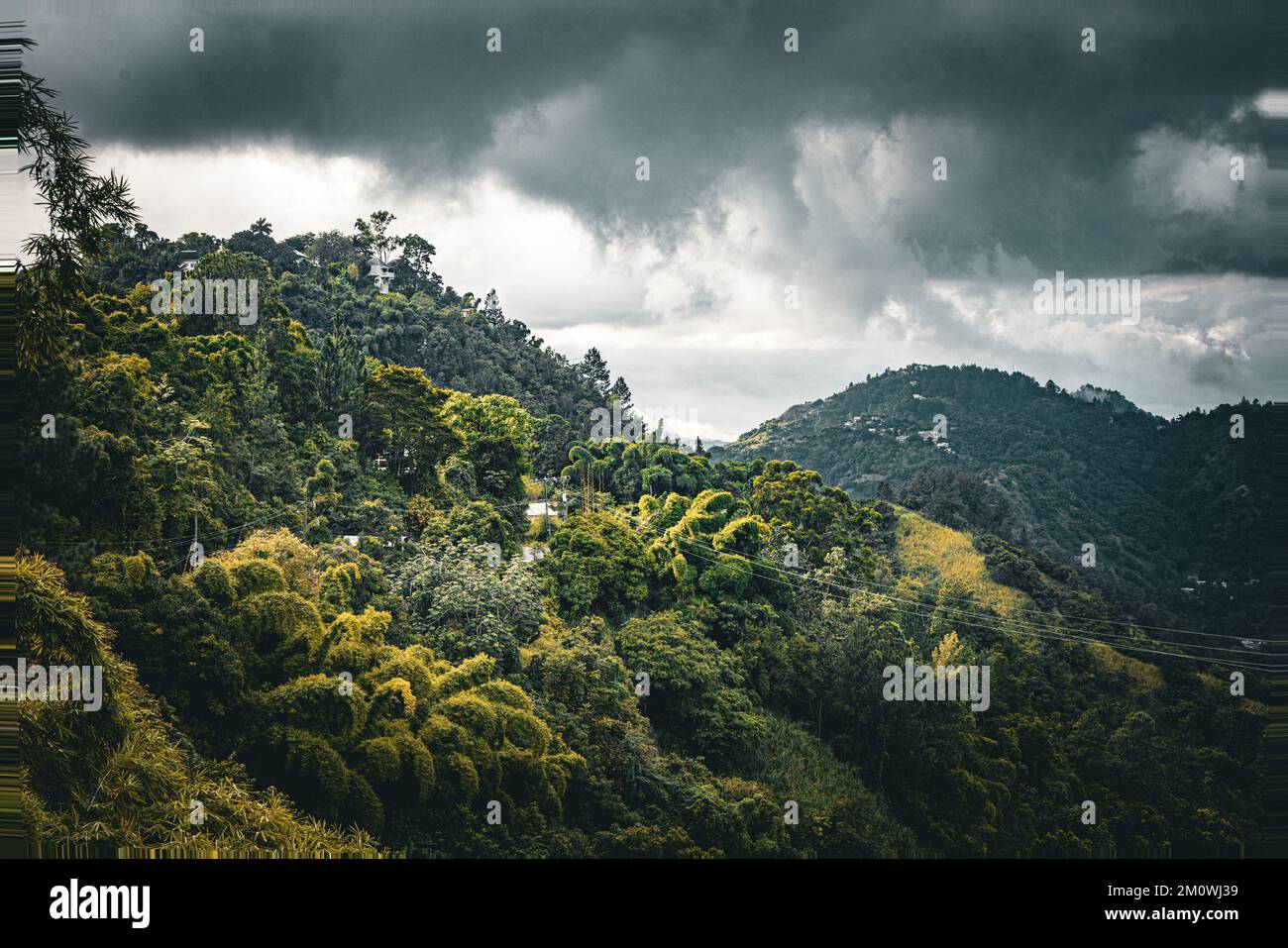 The Blue Mountains in Jamaica, Caribbean, Middle America Stock Photo ...