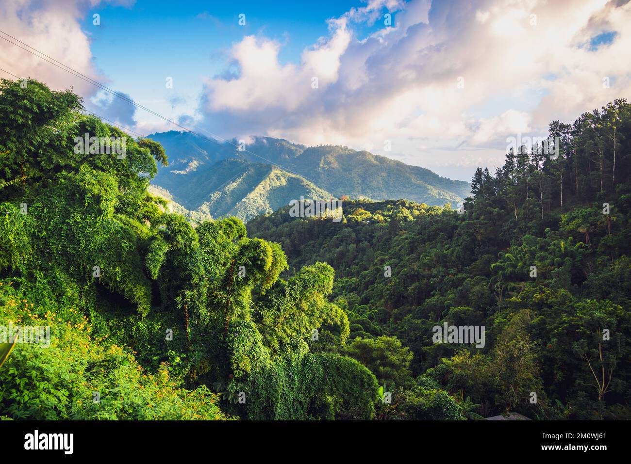 The Blue Mountains in Jamaica, Caribbean, Middle America Stock Photo ...