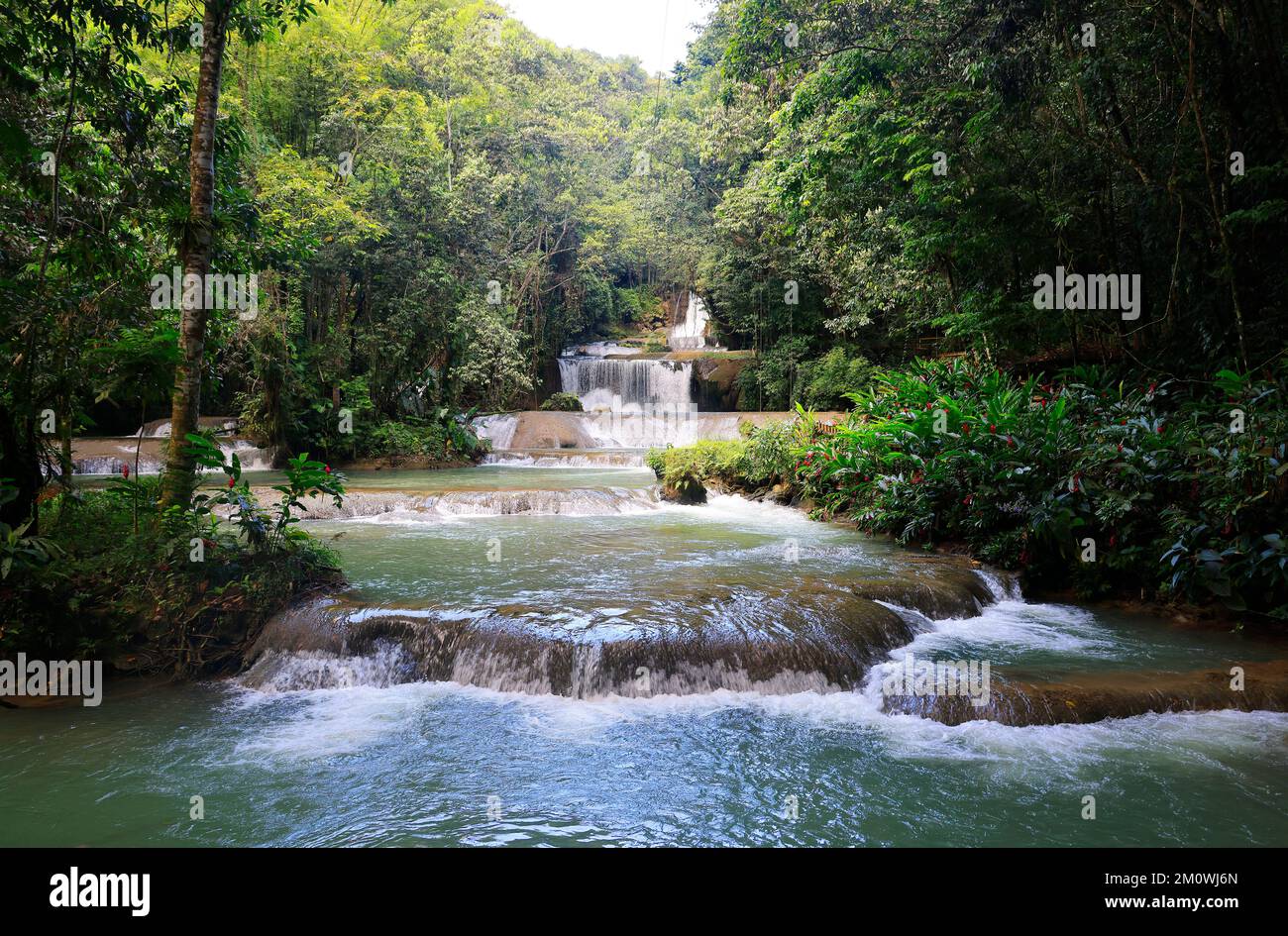 The YS Waterfalls in Jamaica, Caribbean, America Stock Photo - Alamy