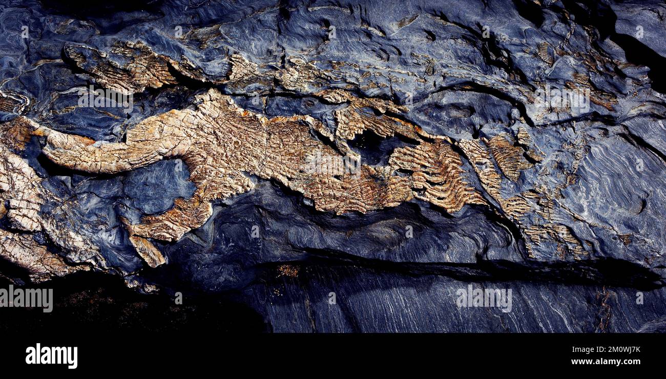 Natural rock formation in the shape of a Cheeta - Lizard - Dragon Stock ...