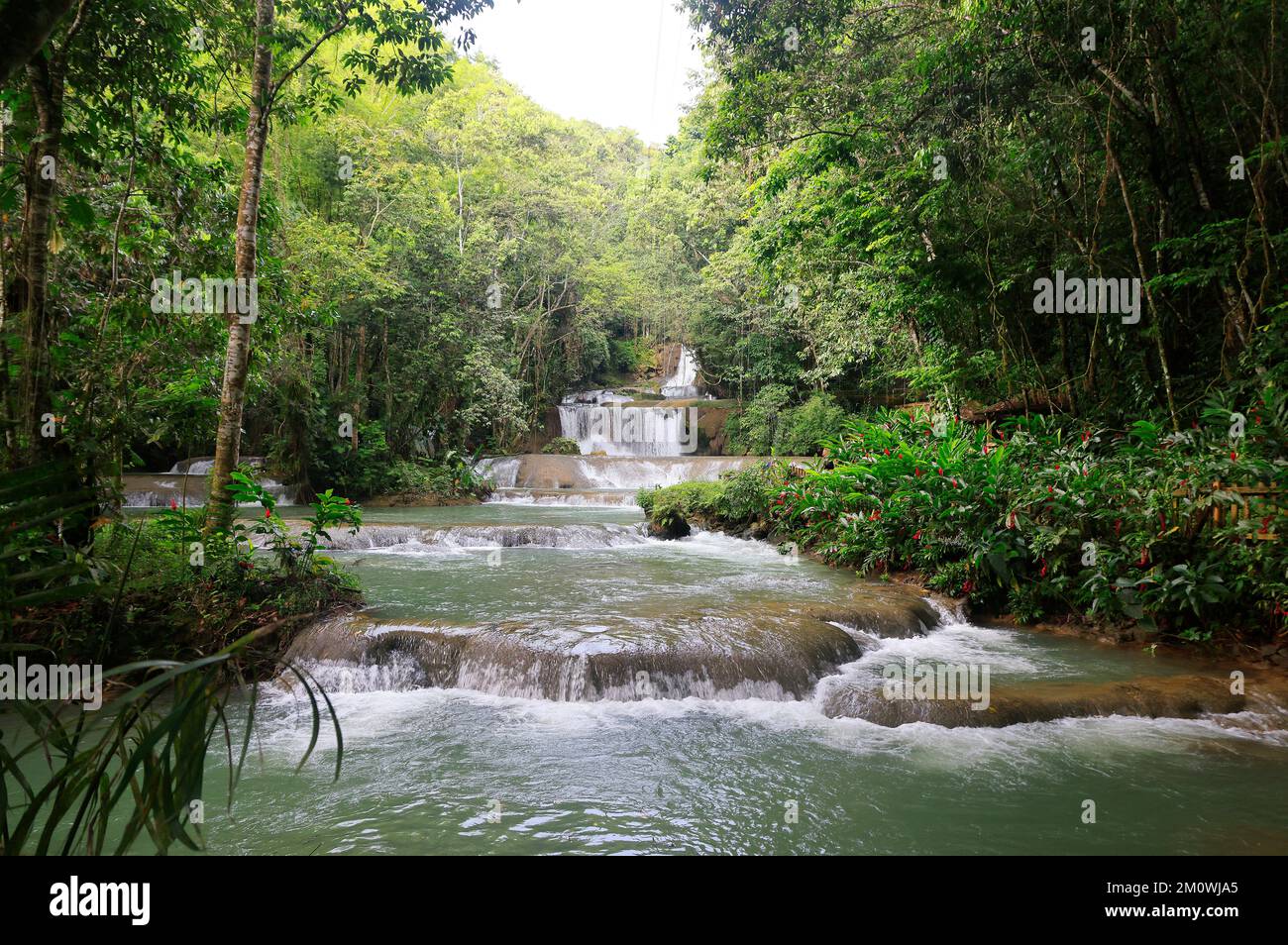 The YS Waterfalls in Jamaica, Caribbean, America Stock Photo - Alamy