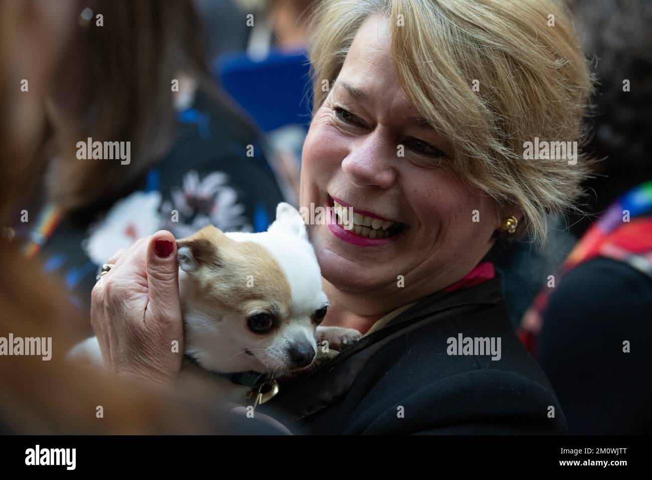 Michelle thomson holding a puppy hi-res stock photography and images ...
