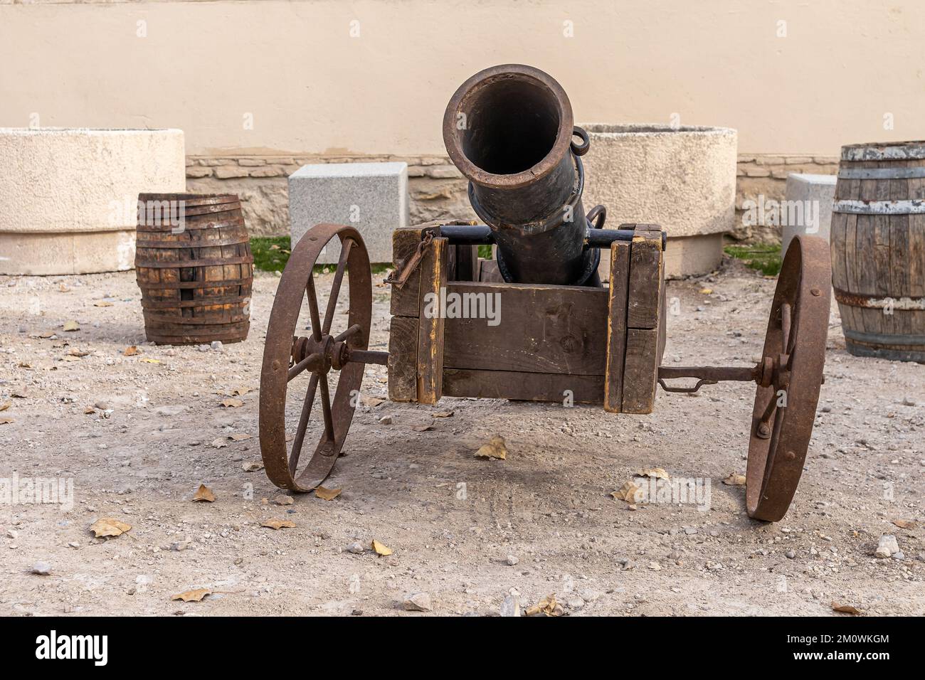 closeup front view of a military cannon used in the 16th and 17th ...