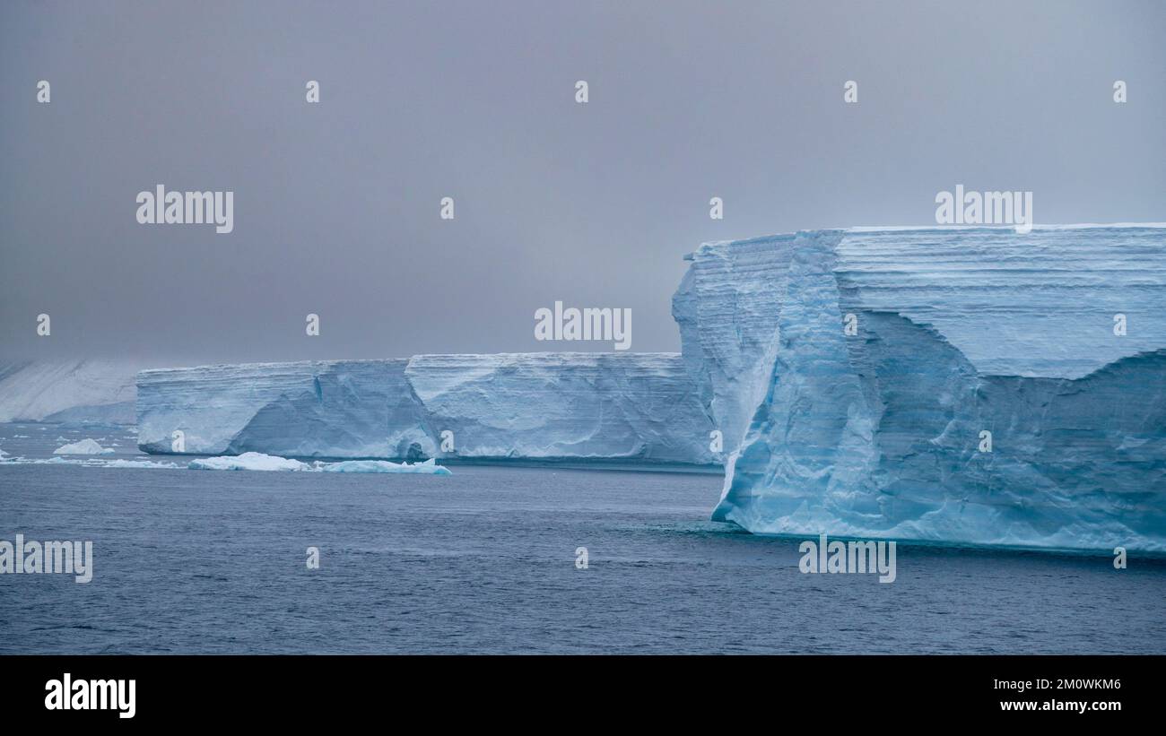 Tabular iceberg drifting in Antarctic Sound, Antarctica Stock Photo - Alamy