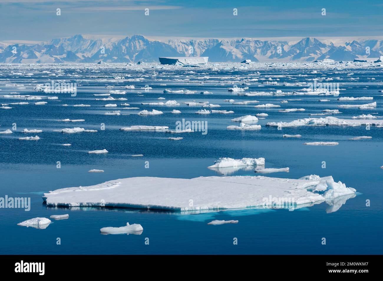 Icebergs, Larsen B Ice Shelf, Weddell Sea, Antarctica Stock Photo - Alamy