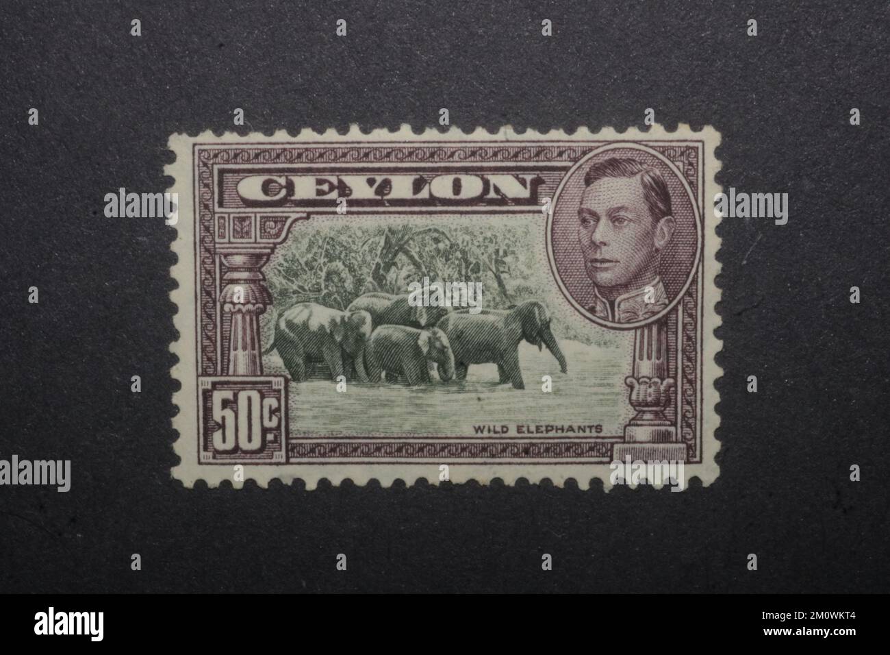 Ceylom high resolution stamp hi-res stock photography and images - Alamy