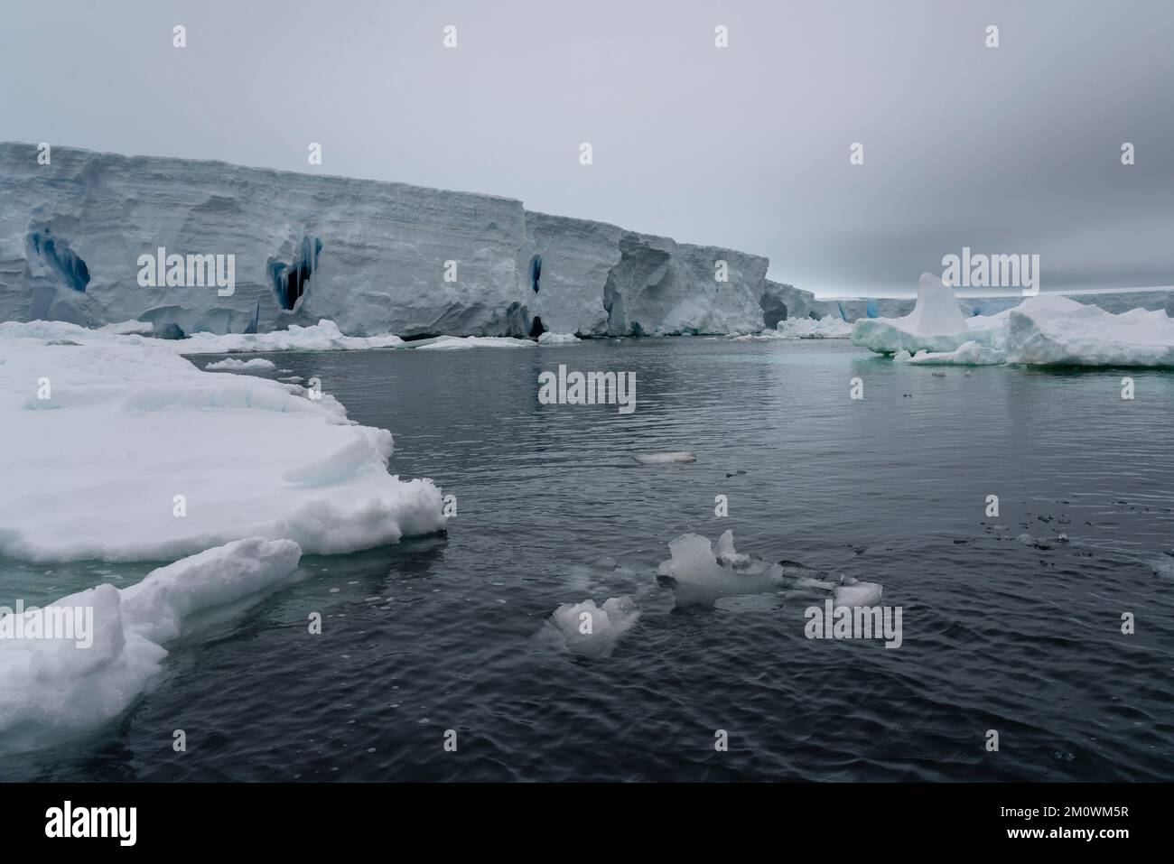 Larsen C ice shelf, Weddell Sea, Antarctica Stock Photo - Alamy