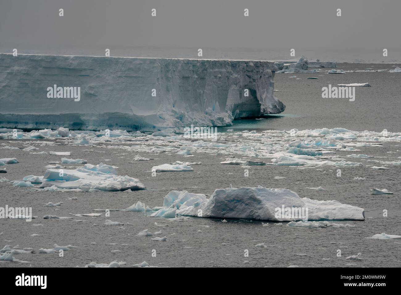 Larsen c iceberg hi-res stock photography and images - Alamy