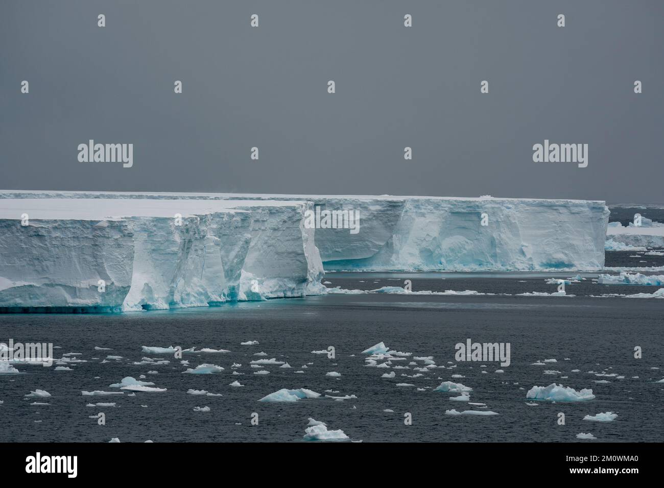 Tabular iceberg, Larsen C ice shelf, Weddell Sea, Antarctica Stock ...