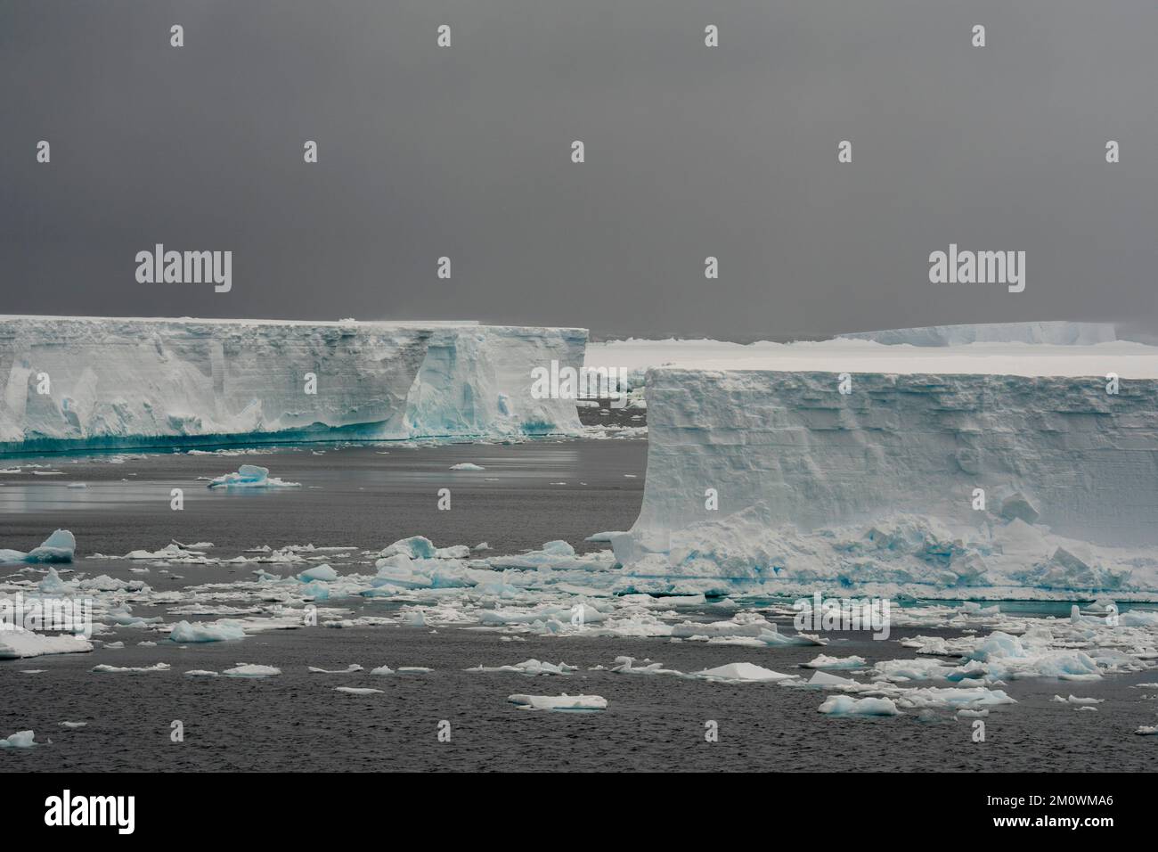Tabular iceberg, Larsen C ice shelf, Weddell Sea, Antarctica Stock ...